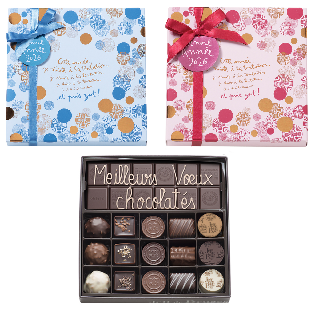 New year box of 15 assorted chocolates with milk or dark chocolate bar